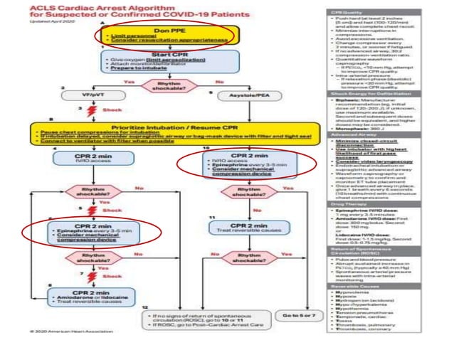 480963324-BLS-AHA-2020-PPT-pptx.pptx