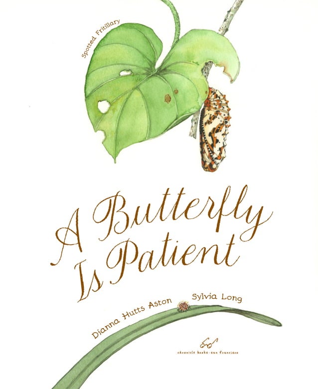 Butterfly Is Patient | PDF | Birdwatching | Hobbies & Interests