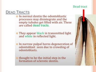 age change in dental hard tissue | PPTX