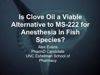 Fish_Presentation_Final | PPT