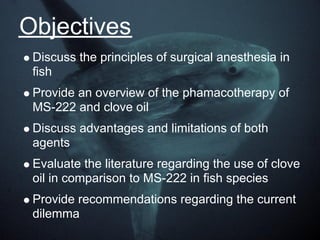 Fish_Presentation_Final | PPT