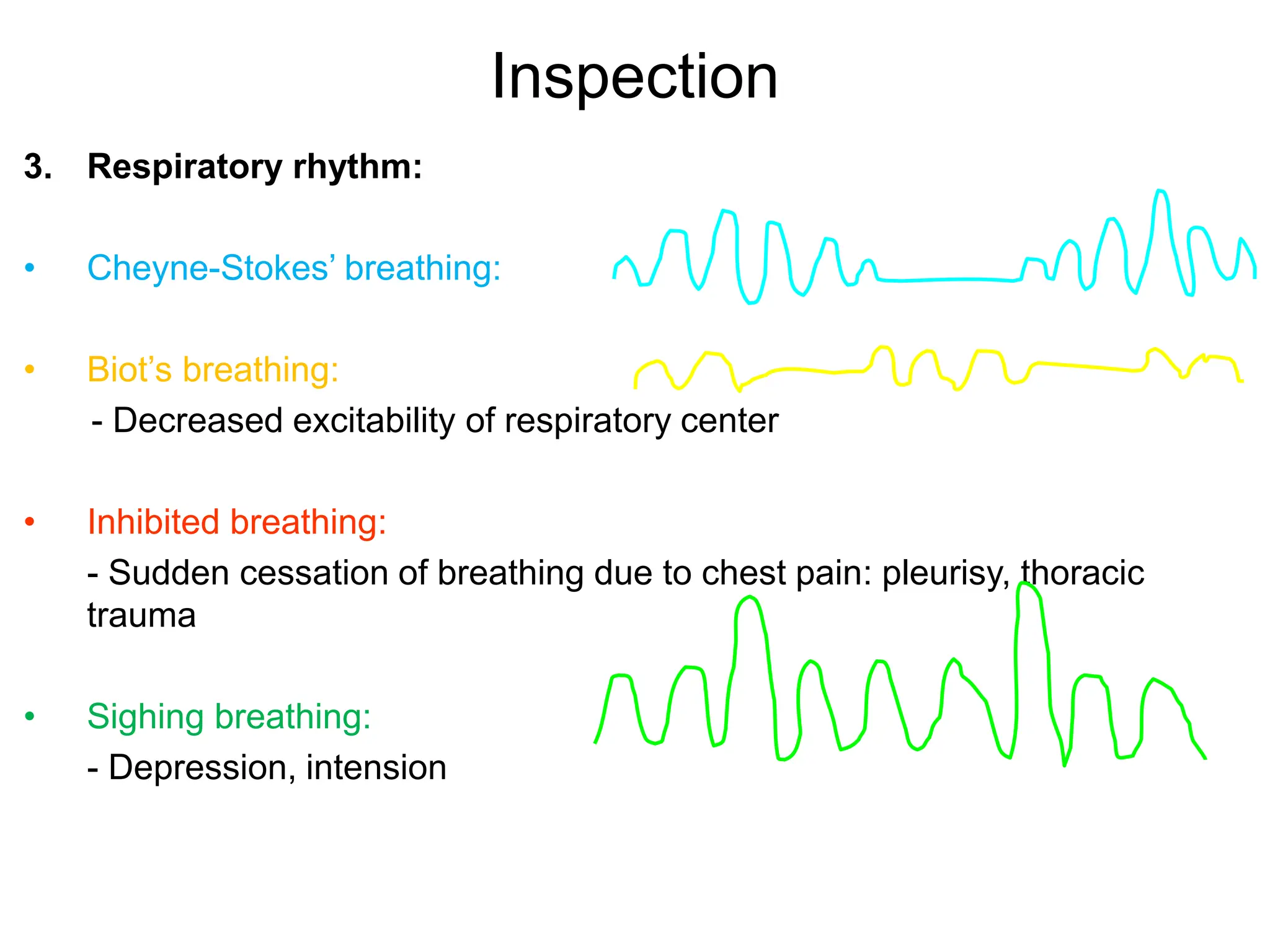 482003013-Physical-examination-in-respiratory-system-ppt.ppt