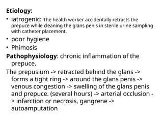 Phimosis-and-paraphimosis in adult and infants.pptx