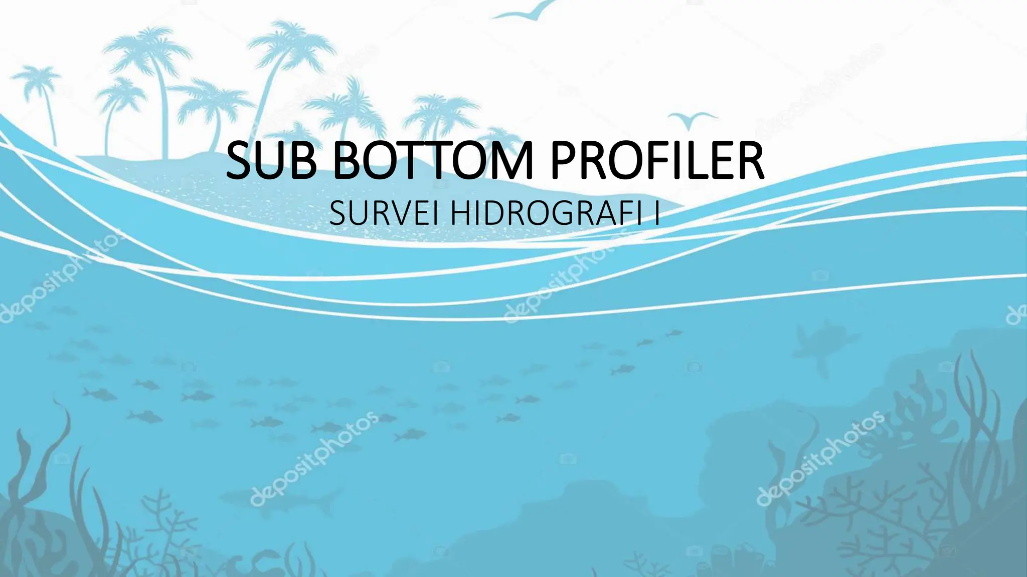 SUB BOTTOM PROFILER SURVEY HIDROGRAFI.pptx