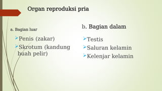 -ffffffskep-pada-sistem-reproduksi-ppt.ppt