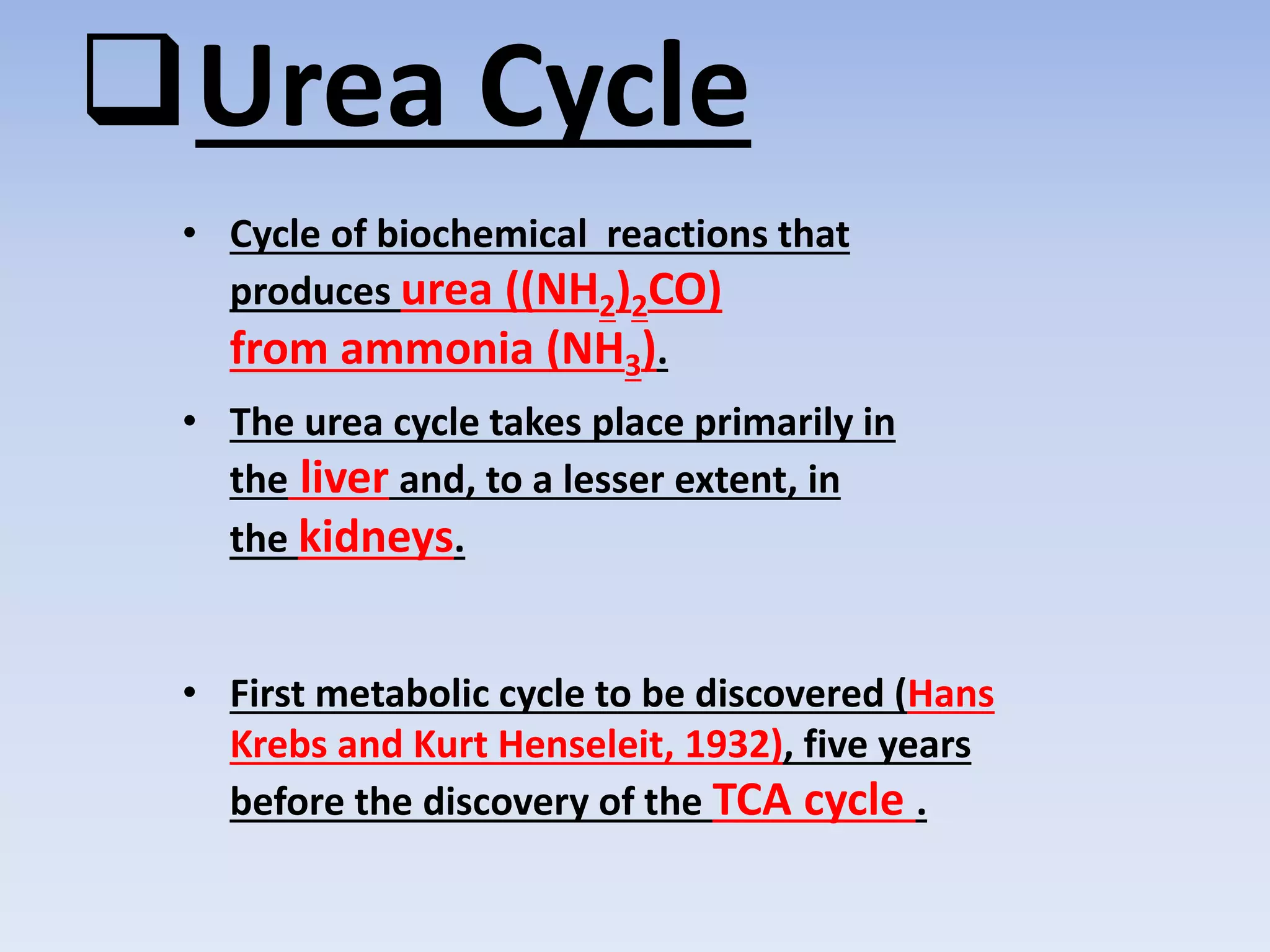 Urea Cycle or Ornithine Cycle- Function,Reactions,Regulation,GENERAL ...