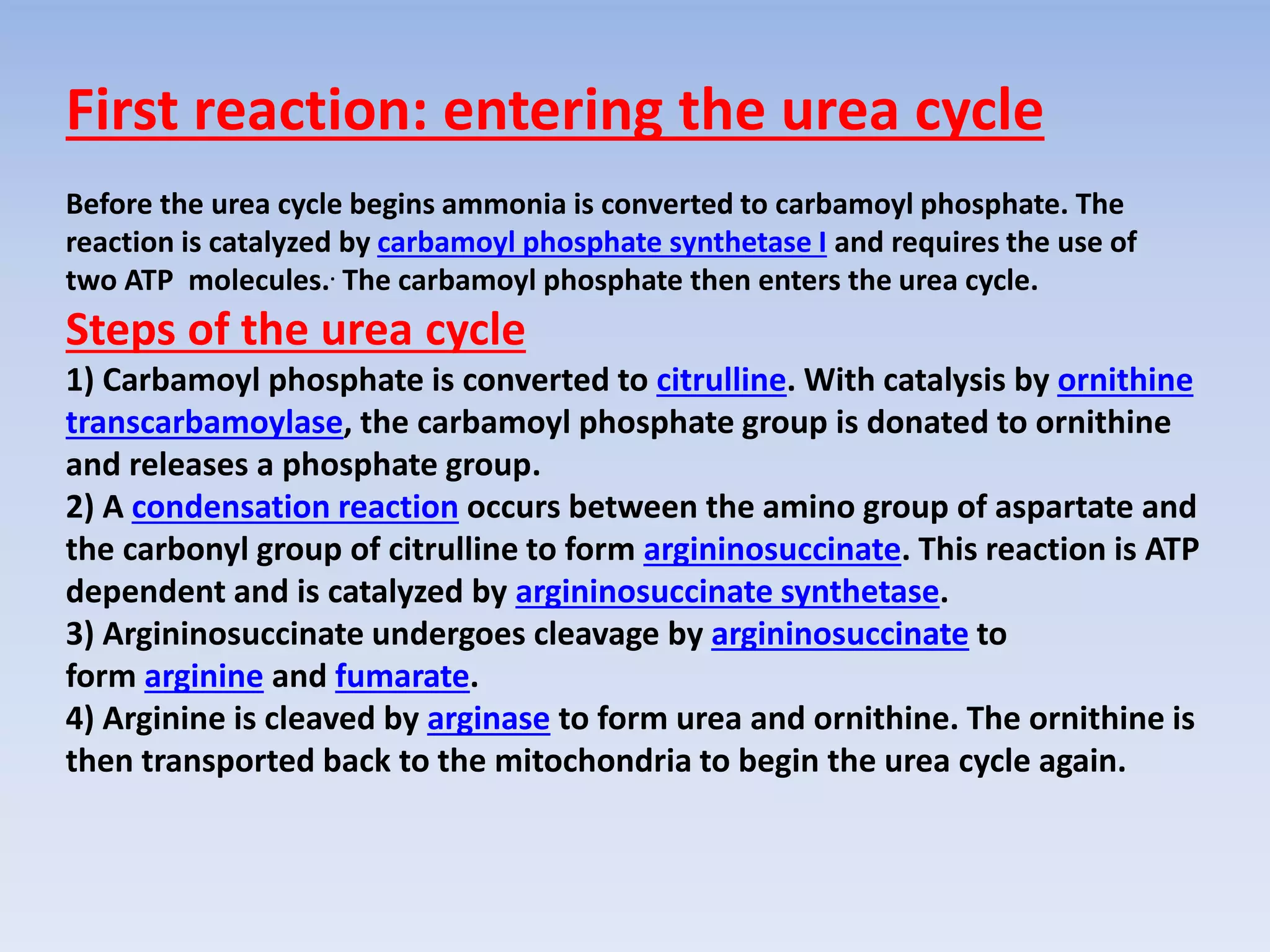 Urea Cycle or Ornithine Cycle- Function,Reactions,Regulation,GENERAL ...
