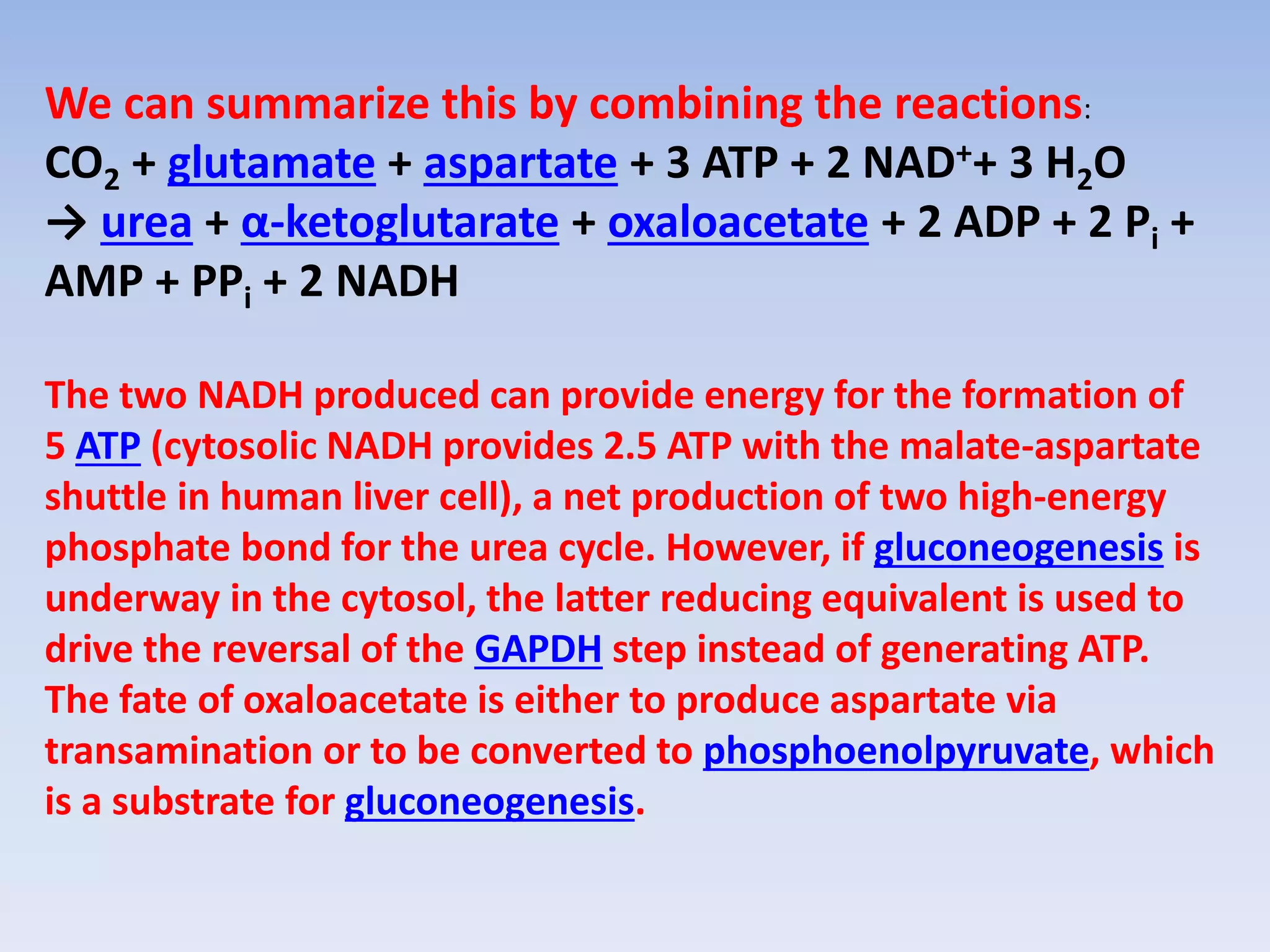 Urea Cycle or Ornithine Cycle- Function,Reactions,Regulation,GENERAL ...