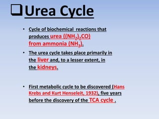 Urea Cycle or Ornithine Cycle- Function,Reactions,Regulation,GENERAL ...