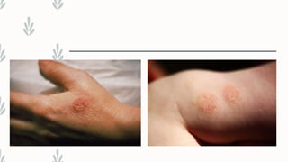 484940217-%D0%AD%D0%BA%D0%B7%D0%B5%D0%BC-pptx.pptx