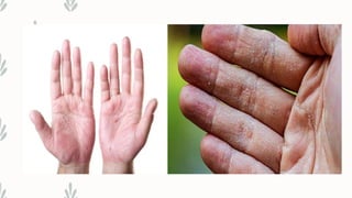 484940217-%D0%AD%D0%BA%D0%B7%D0%B5%D0%BC-pptx.pptx