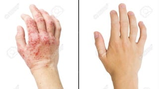 484940217-%D0%AD%D0%BA%D0%B7%D0%B5%D0%BC-pptx.pptx