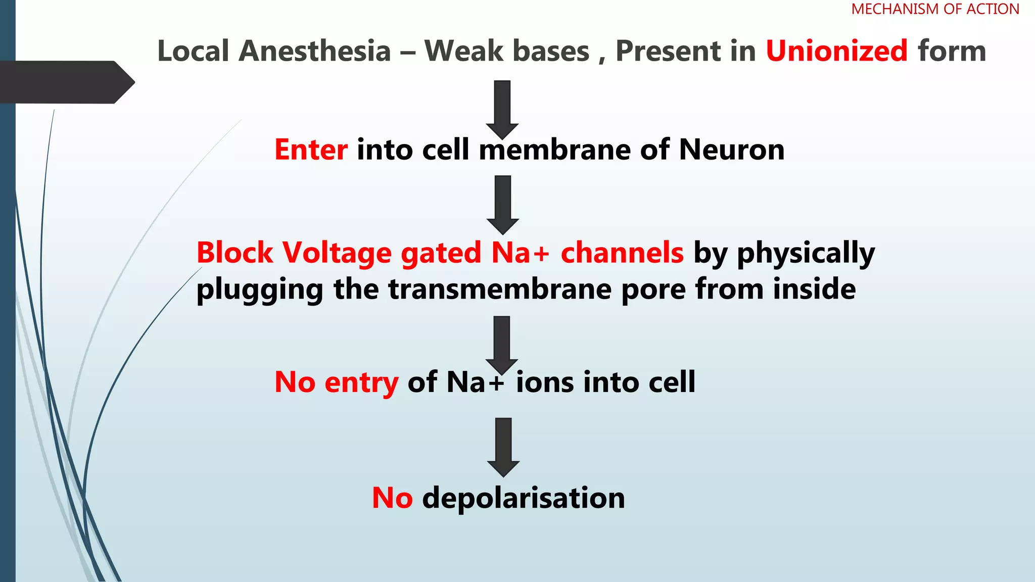 Local anesthesia Mechanism Of Action as well as types | PPTX | Brain ...