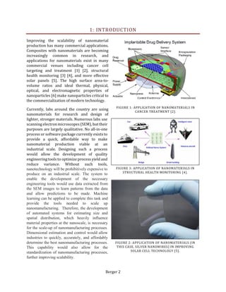 TBerger_FinalReport | PDF