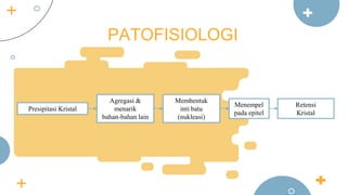 485349147-Nefrolitiasis-BST-dr-Bungaran-pptx.pptx