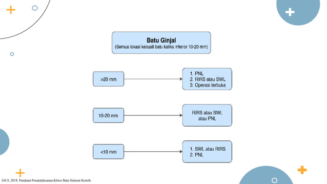 485349147-Nefrolitiasis-BST-dr-Bungaran-pptx.pptx