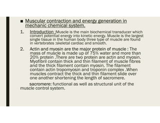 Muscles Contraction | PDF