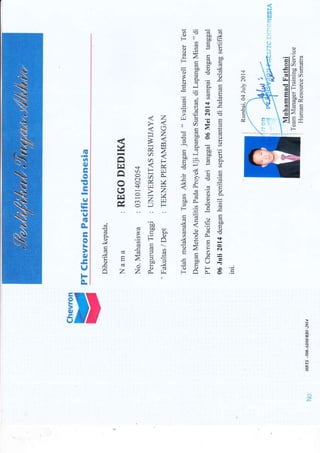 Certificate CPI | PDF