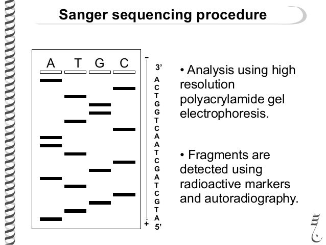 Sanger sequencing chromatogram viewer - drolunch