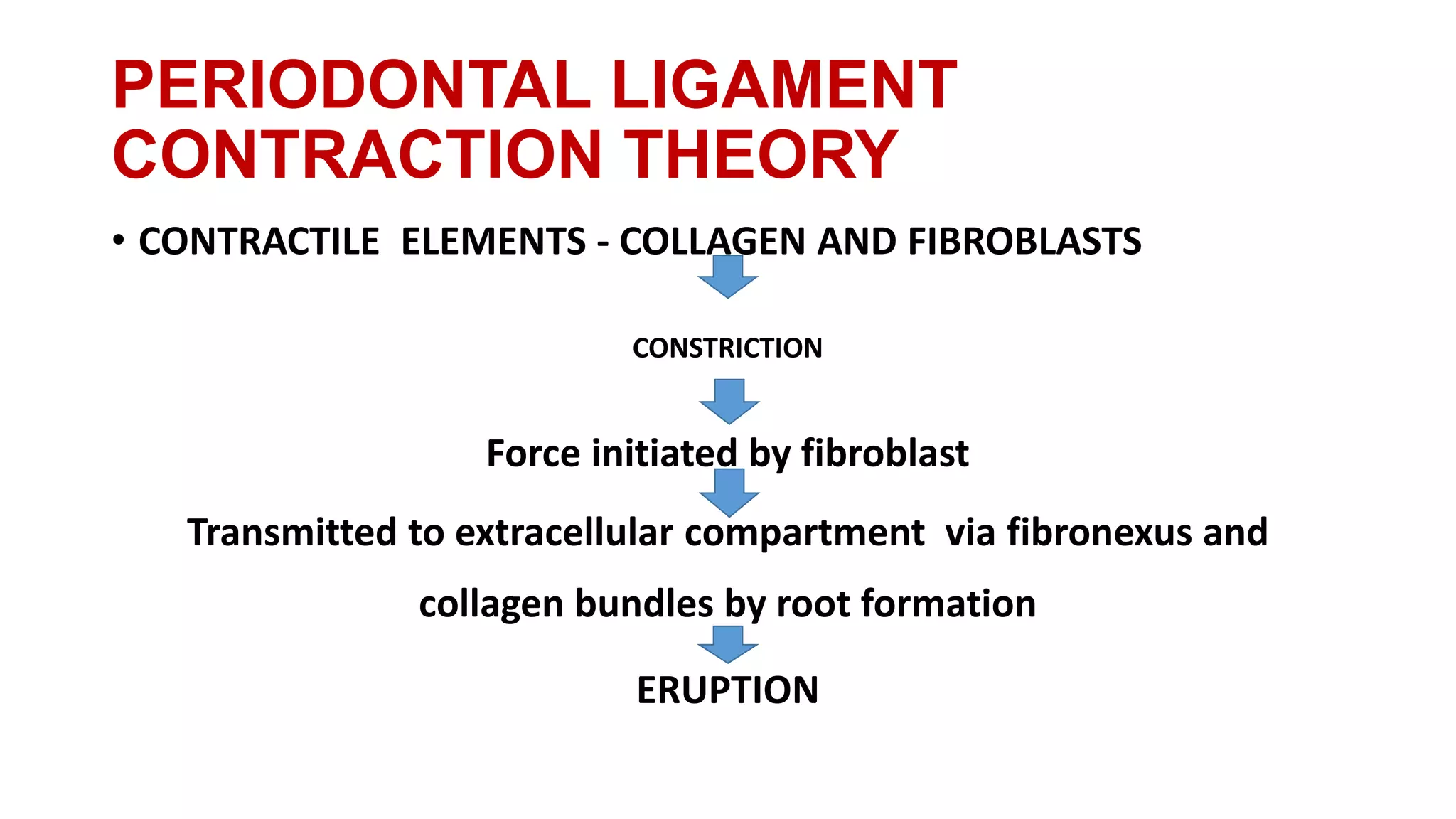 486 theories of tooth eruption | PPTX
