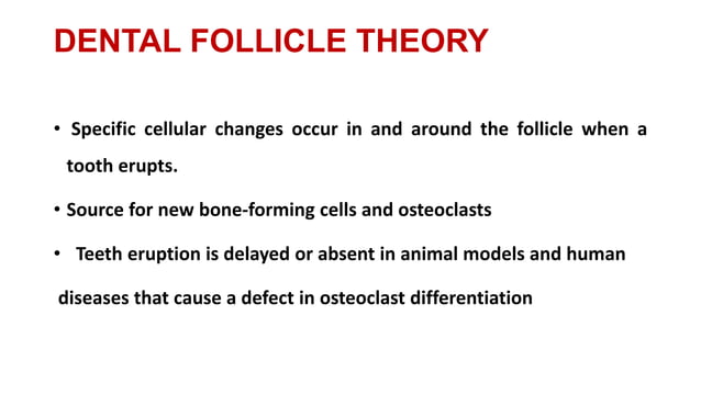 486 theories of tooth eruption | PPTX