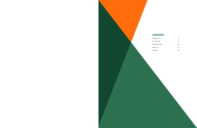 Braun Intertec Company Overview | PDF | Construction Industry | Industries