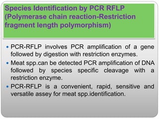 meat species of animals identification .ppt