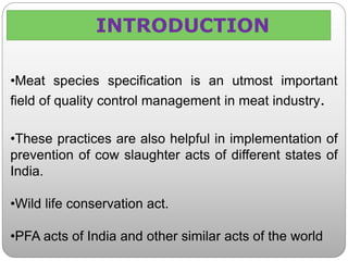 meat species of animals identification .ppt