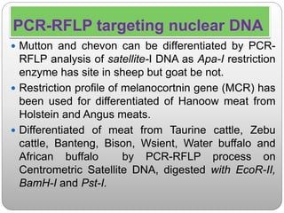 meat species of animals identification .ppt