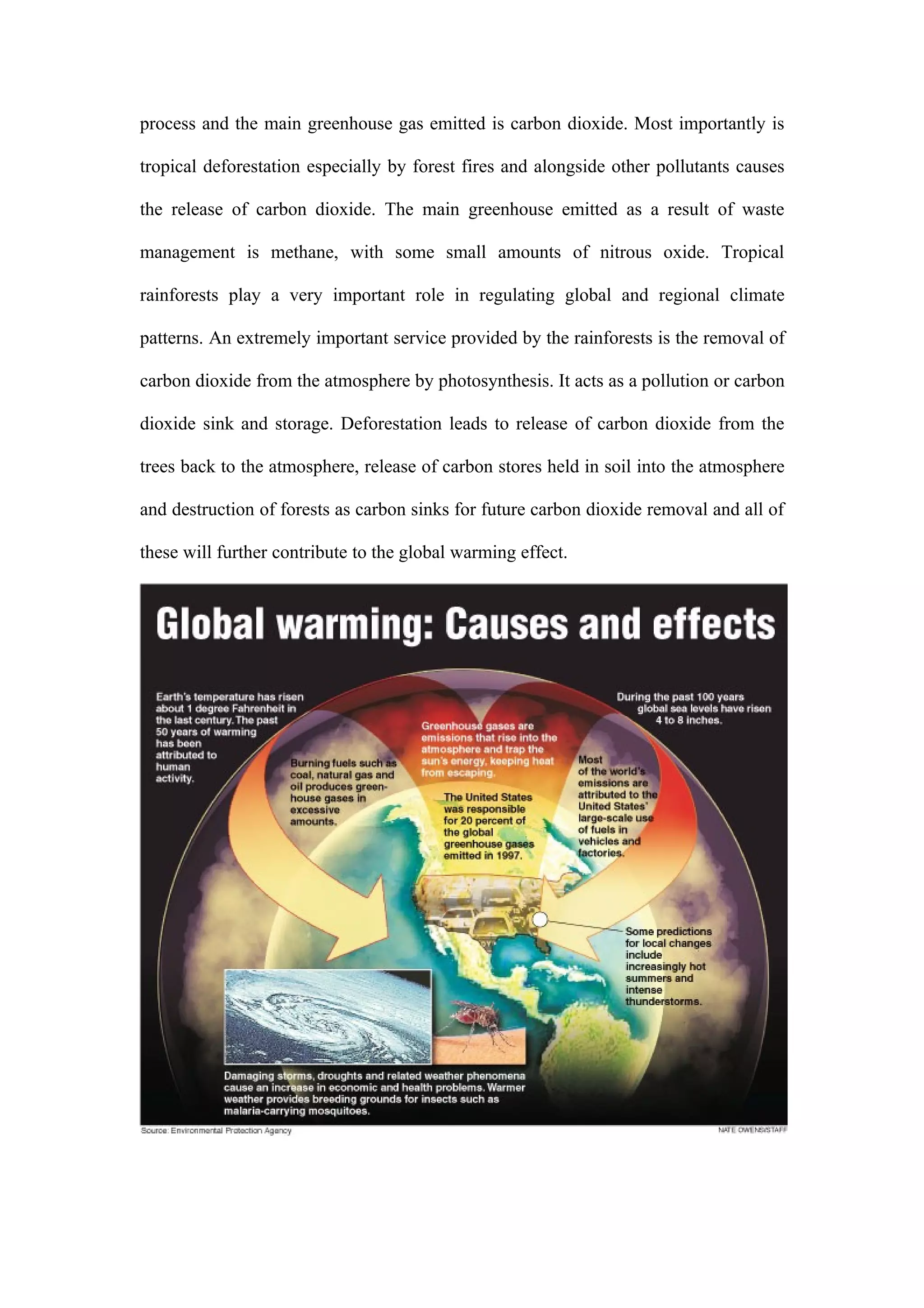 48774418 global-warming-assignment-final | PDF