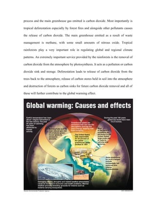 48774418 global-warming-assignment-final | PDF
