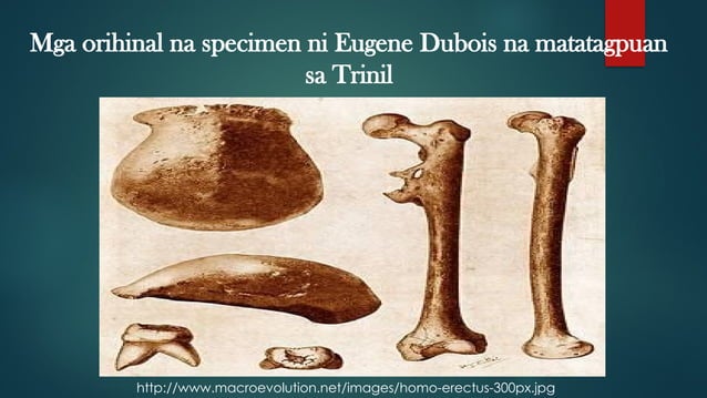 487946505-PPT-Pinagmulan-ng-Pilipinas-at-ng-Lahing-Pilipino-ap-week-3.pptx