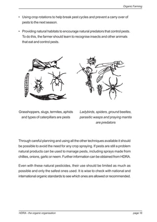 What is Organic Farming - The Basics ! | PDF