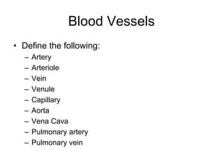 basic principles of cardiovasctular system | PPT