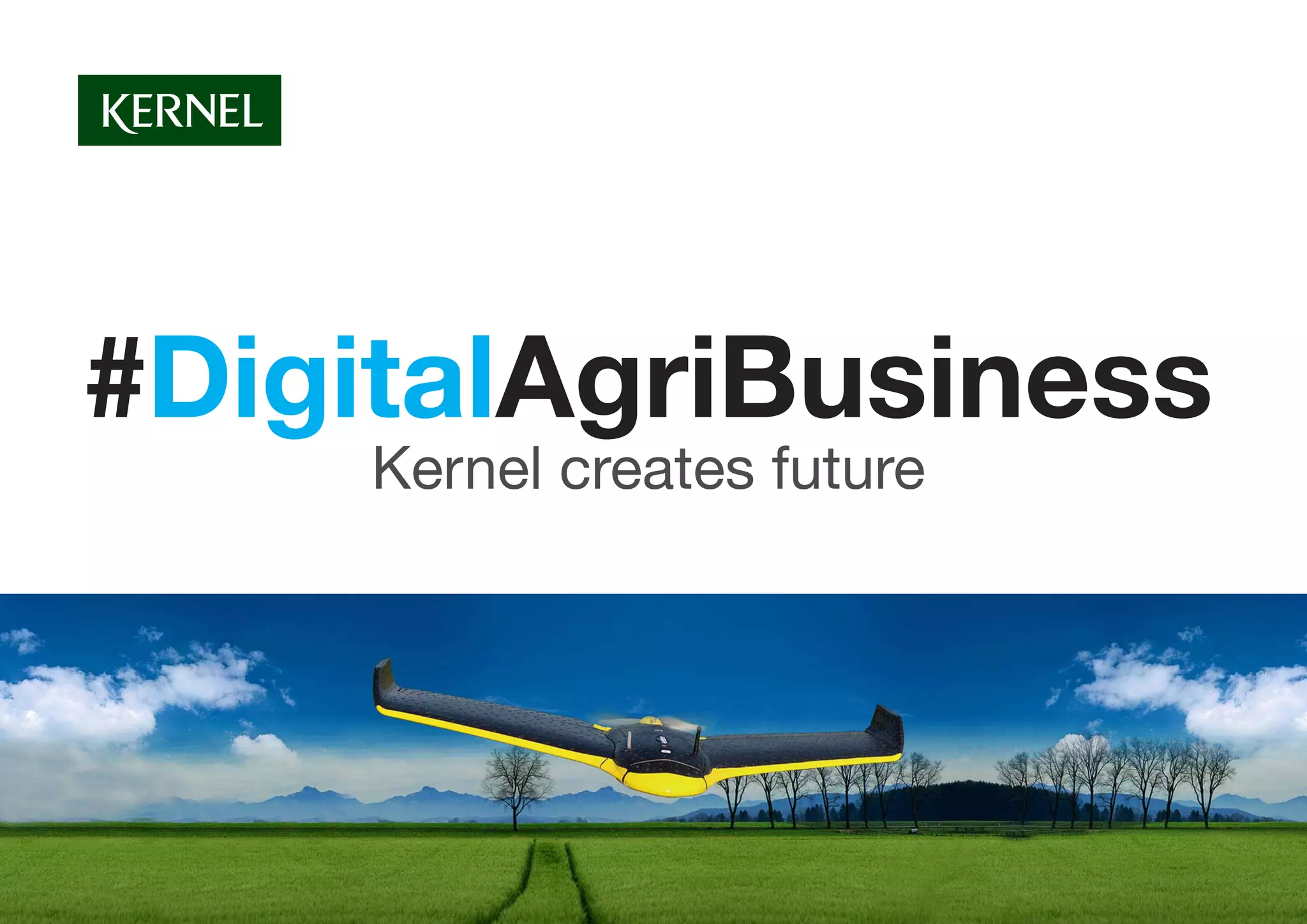 #DigitalAgriBusiness #Kernel | PDF