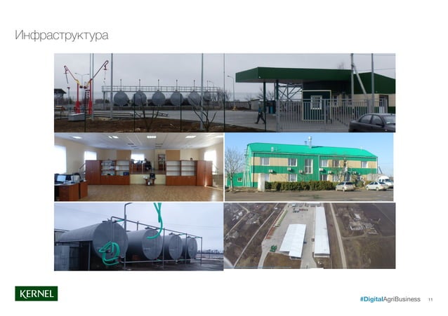 #DigitalAgriBusiness #Kernel | PDF | Agriculture | Industries