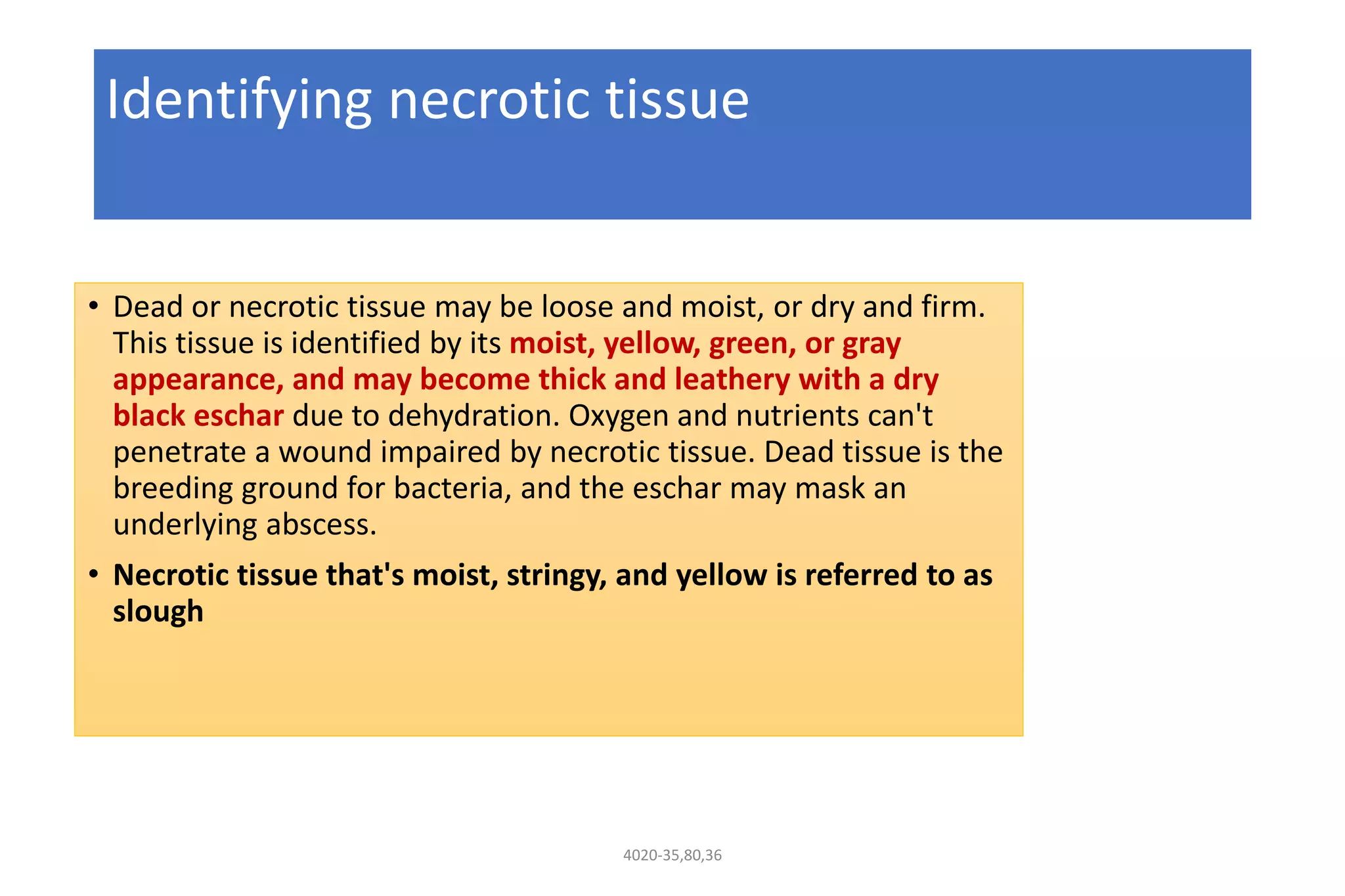 489056420-WOUND-DEBRIDEMENT-pptx.pptx