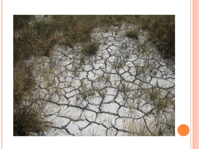 7-Waterlogging and salinity | PPTX | Agriculture | Industries