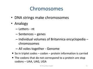 DNA_NEW information hiding_ security.ppt