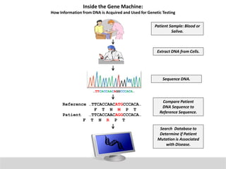 DNA_NEW information hiding_ security.ppt