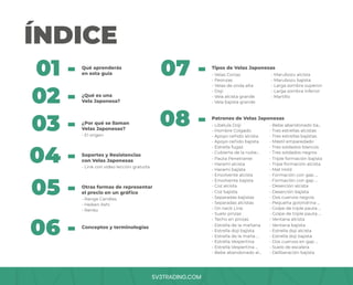 48 patrones interactivo para trading view | PDF