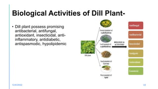Dill_plant_All_Information | PPTX