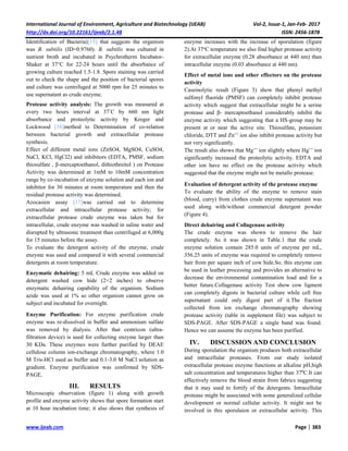 protease activity of extracellular enzyme produced by b. subtilis ...