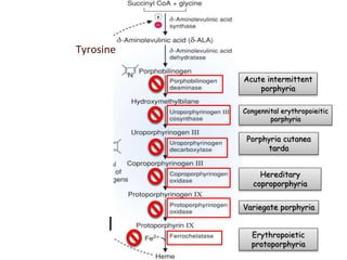 Heme Biosynthesis and Its disorders (Porphyria) | PPSX
