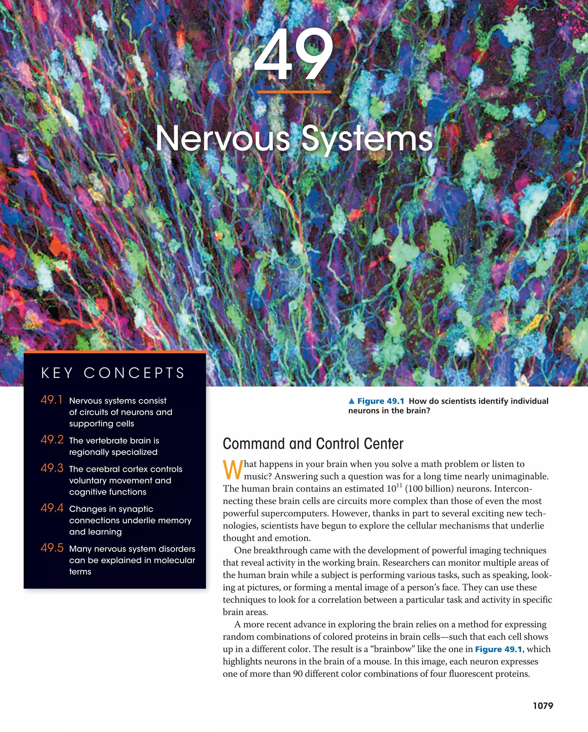 49 nervous systems | PDF
