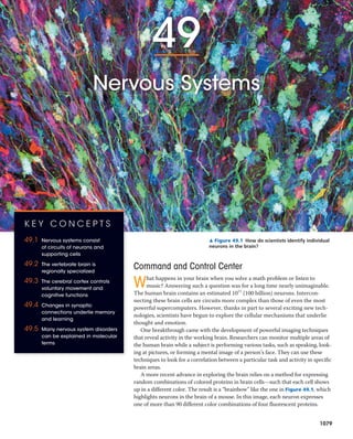 49 nervous systems | PDF | Brain and Nervous System Disorders ...