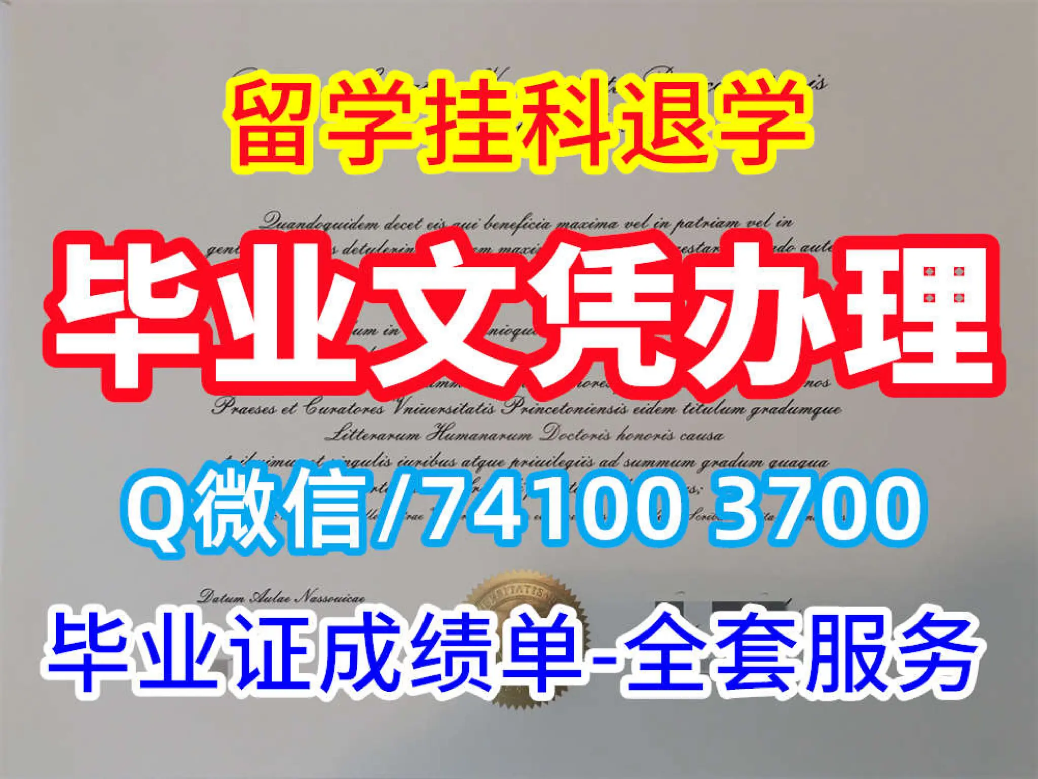 AU Master Diploma | PDF