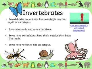 [491426]Animal_types.ppt