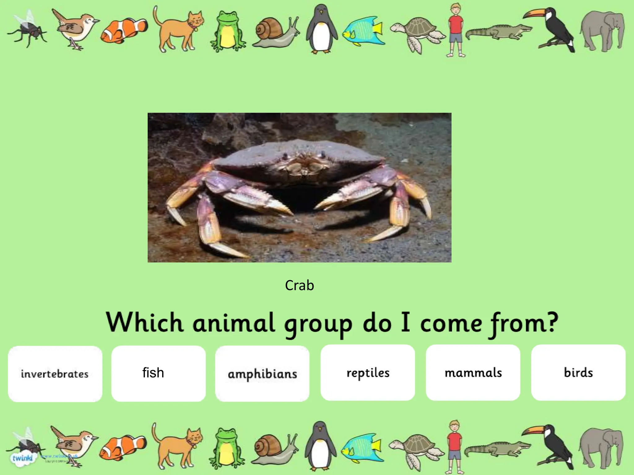 Animal types, diferent types of birds, fishes and earth animals | PPT