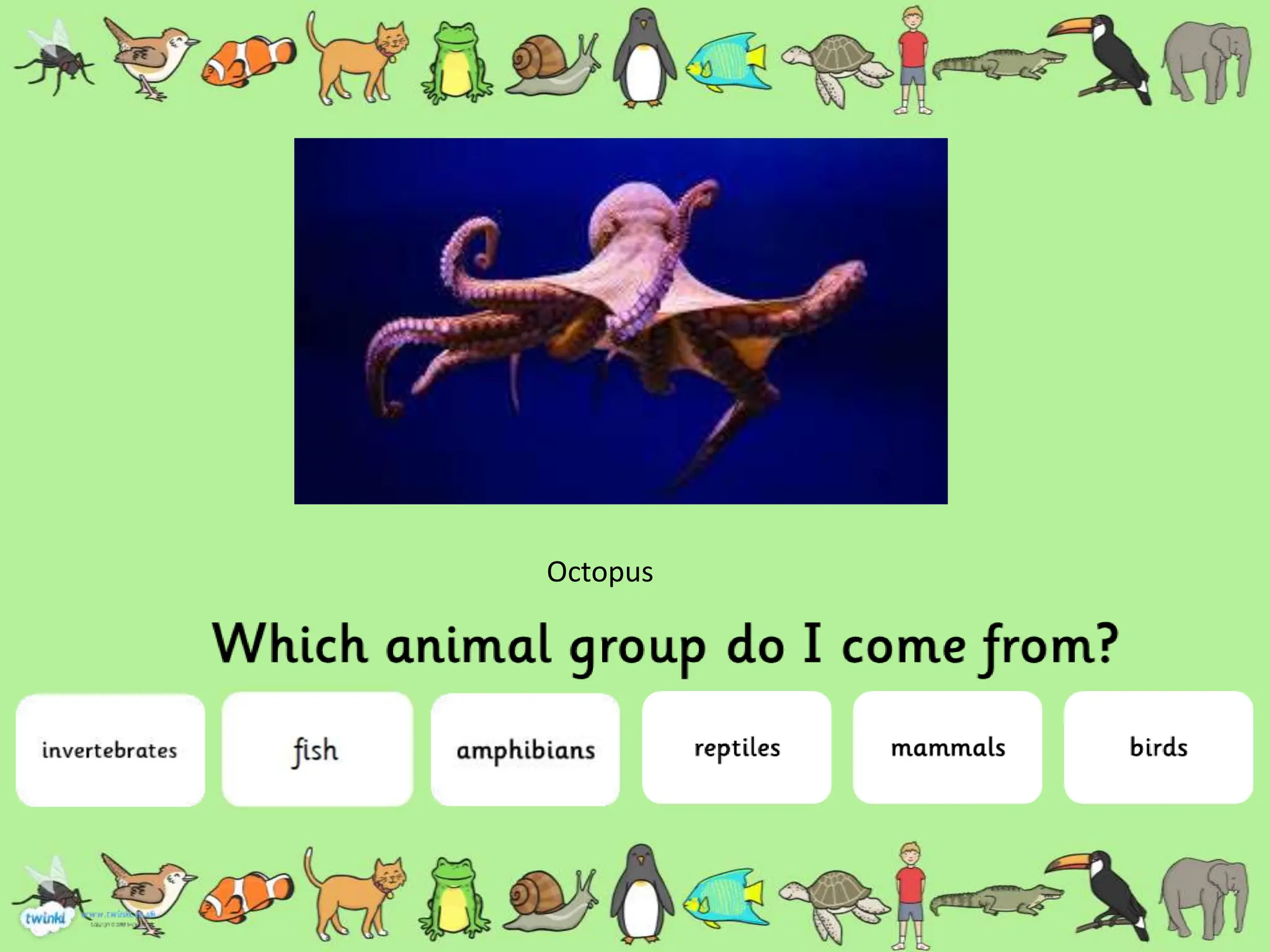 Animal types, diferent types of birds, fishes and earth animals | PPT